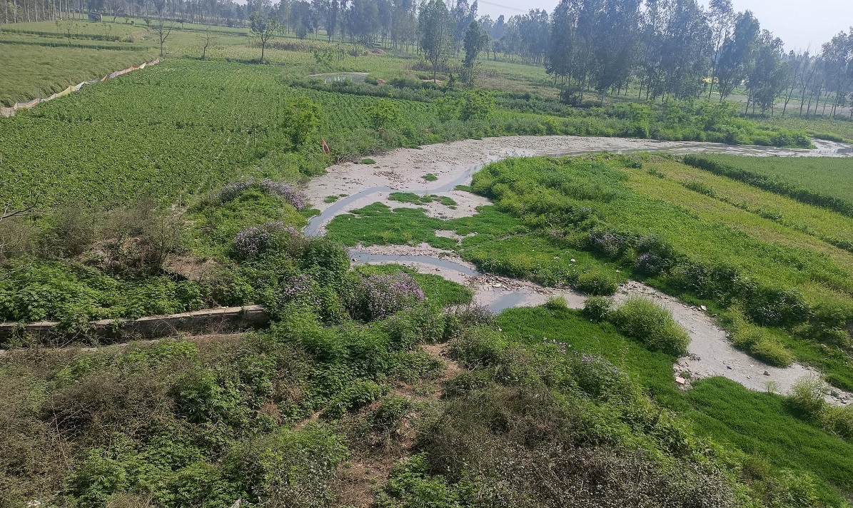 gajraula-bagad – जनचौक